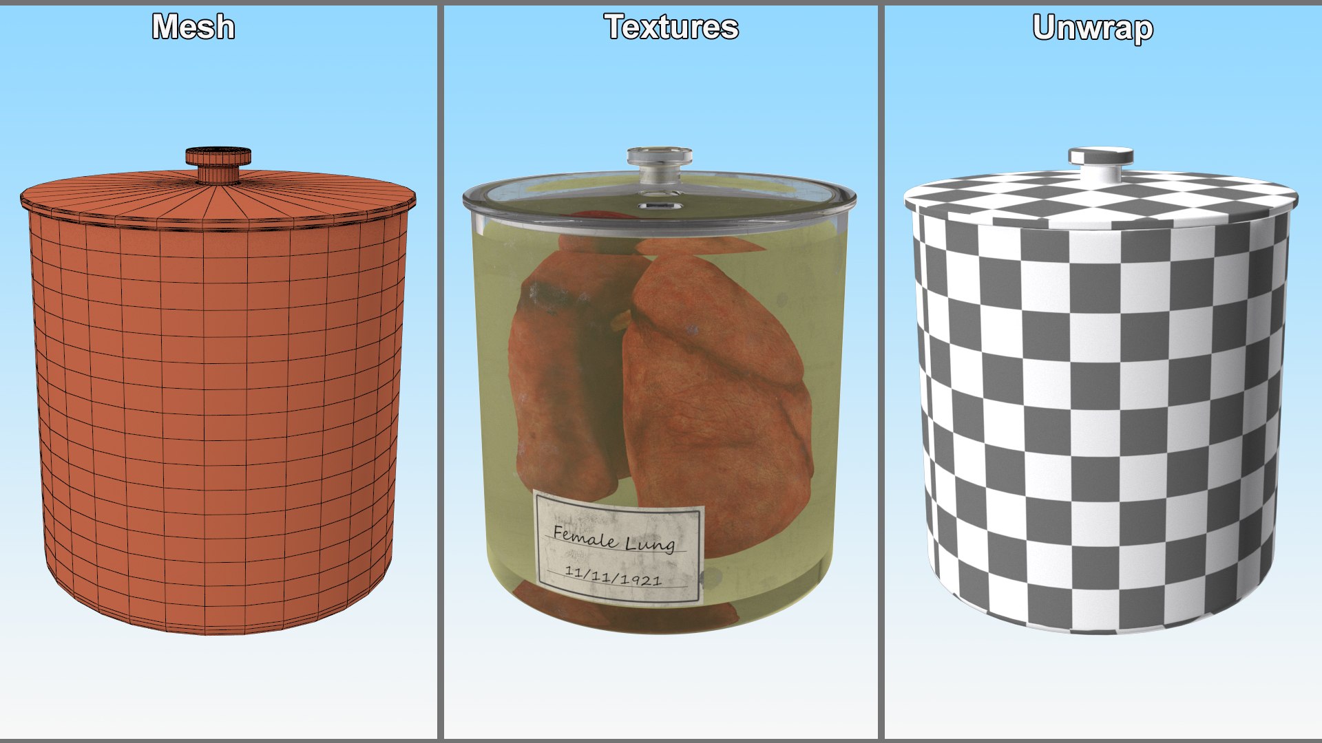 3D Human Lungs In Glass Jar - TurboSquid 2258825