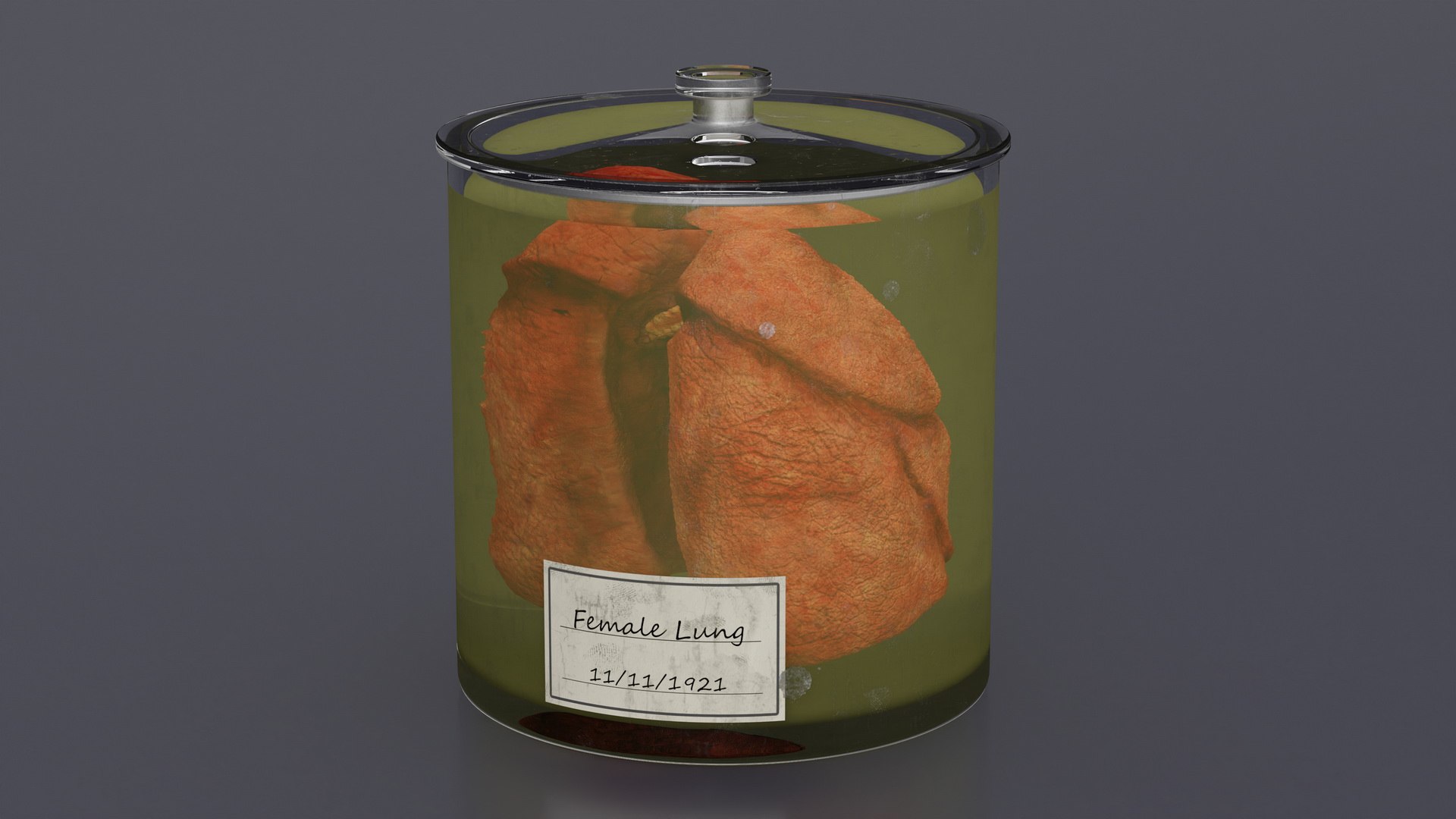 3D Human Lungs In Glass Jar - TurboSquid 2258825