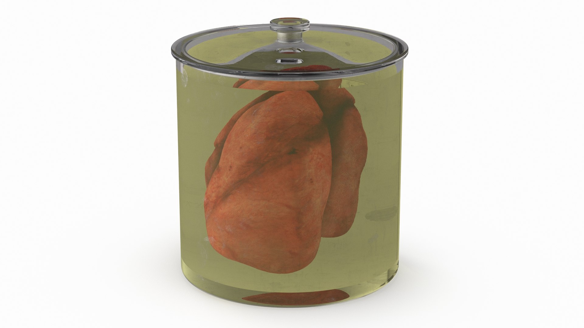 3D Human Lungs In Glass Jar - TurboSquid 2258825