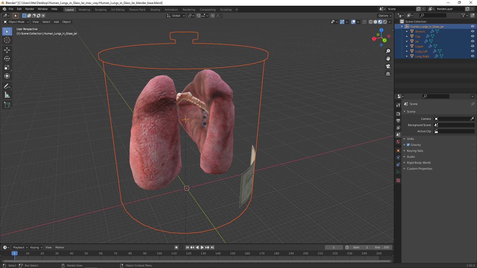 3D Human Lungs In Glass Jar - TurboSquid 2258825