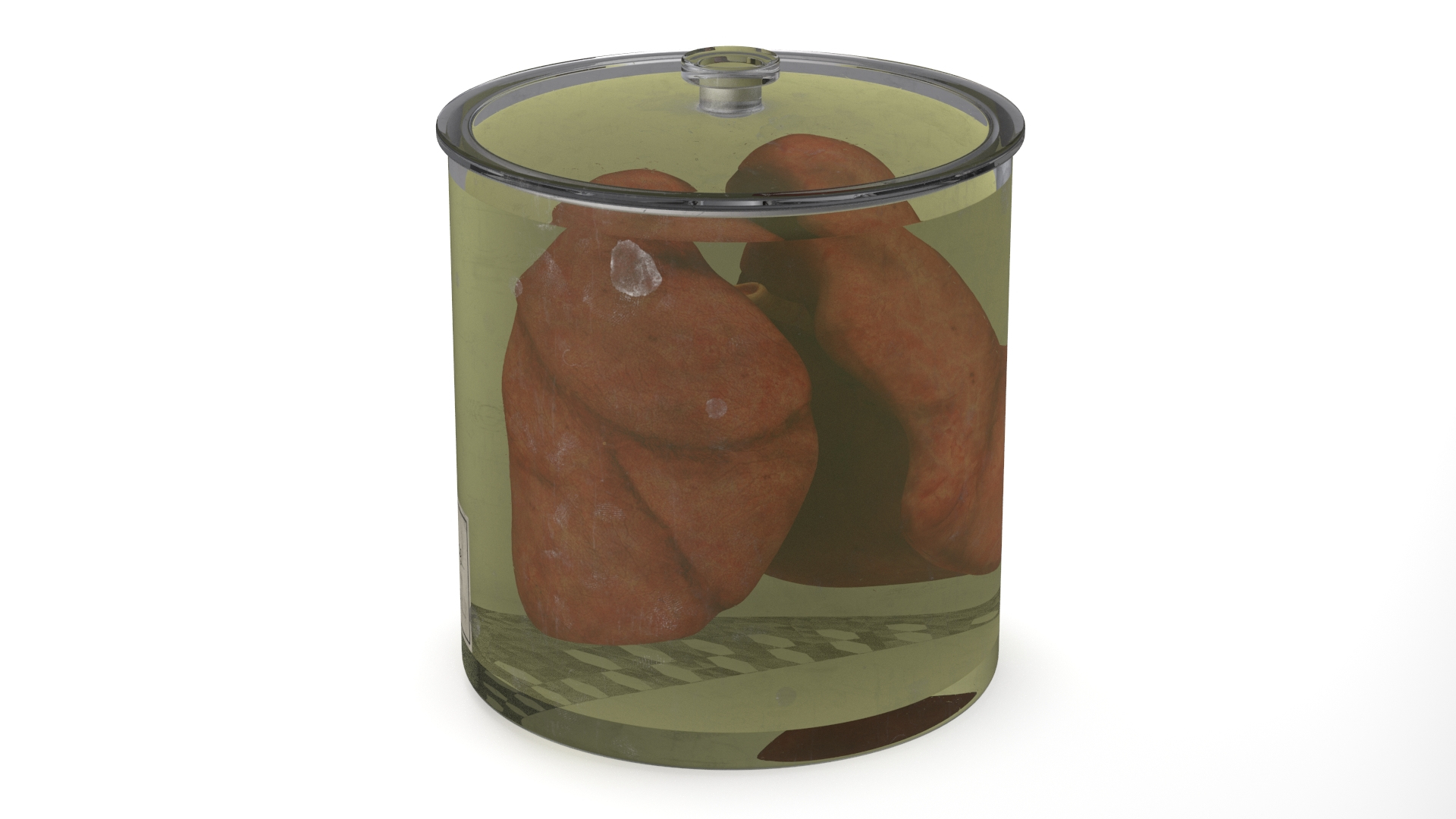 3D Human Lungs In Glass Jar - TurboSquid 2258825