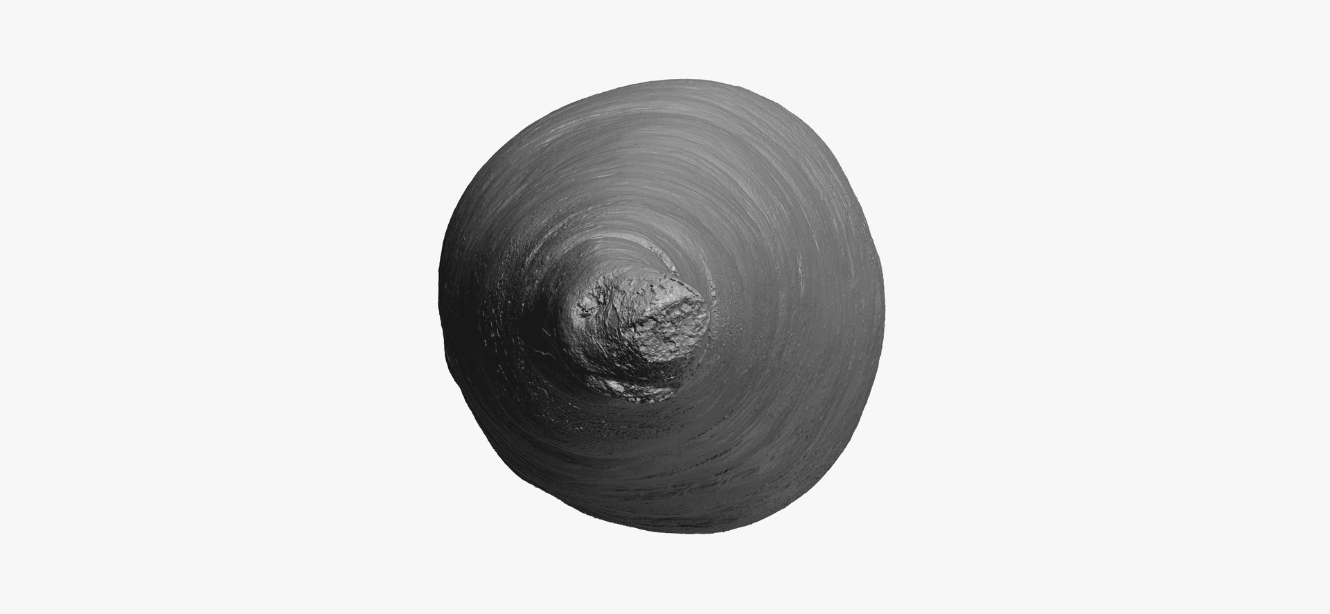 3D Model Parsnip 01 Raw Scan - TurboSquid 1542307