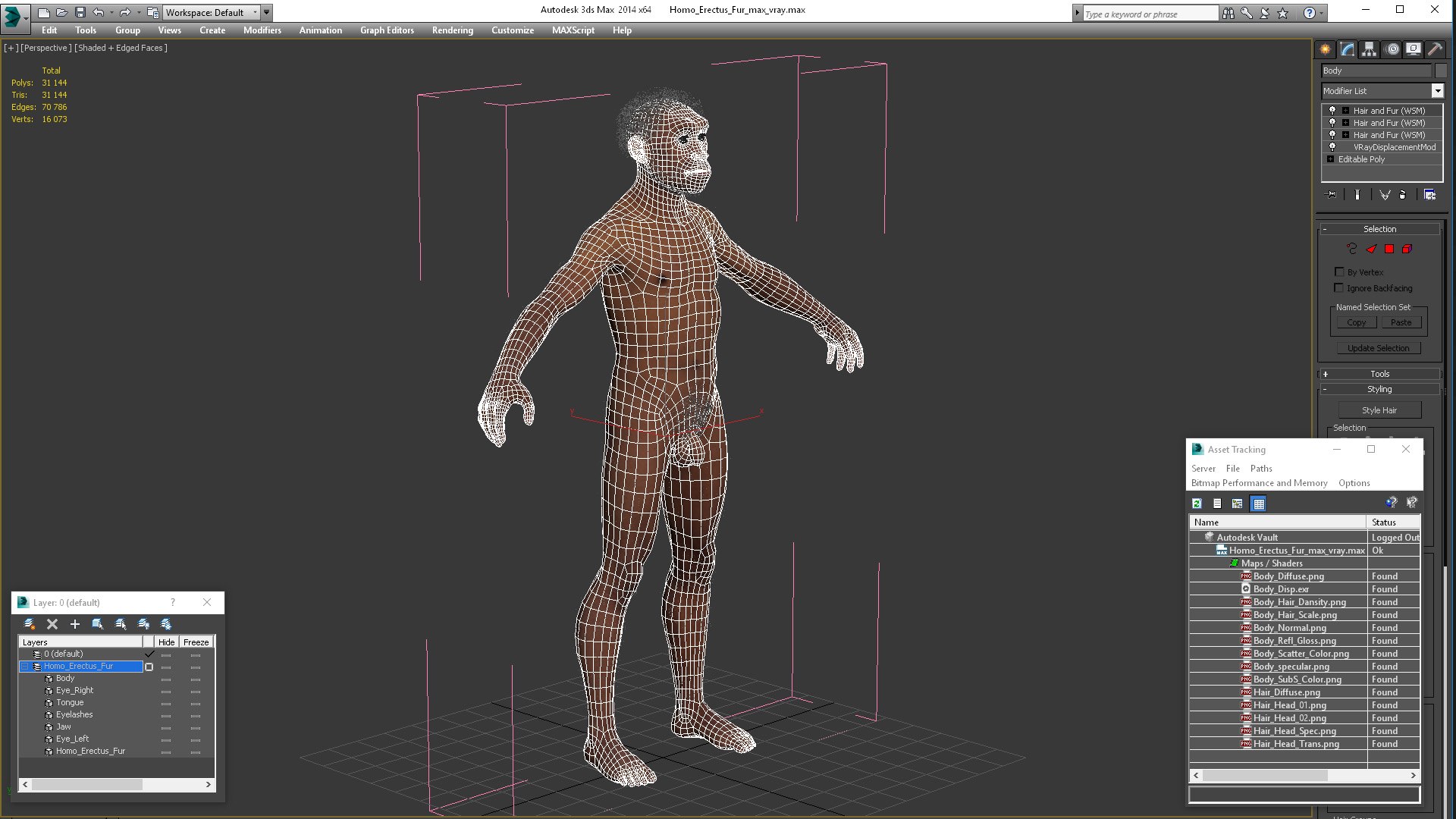 Homo Erectus Fur 3D model - TurboSquid 2169427