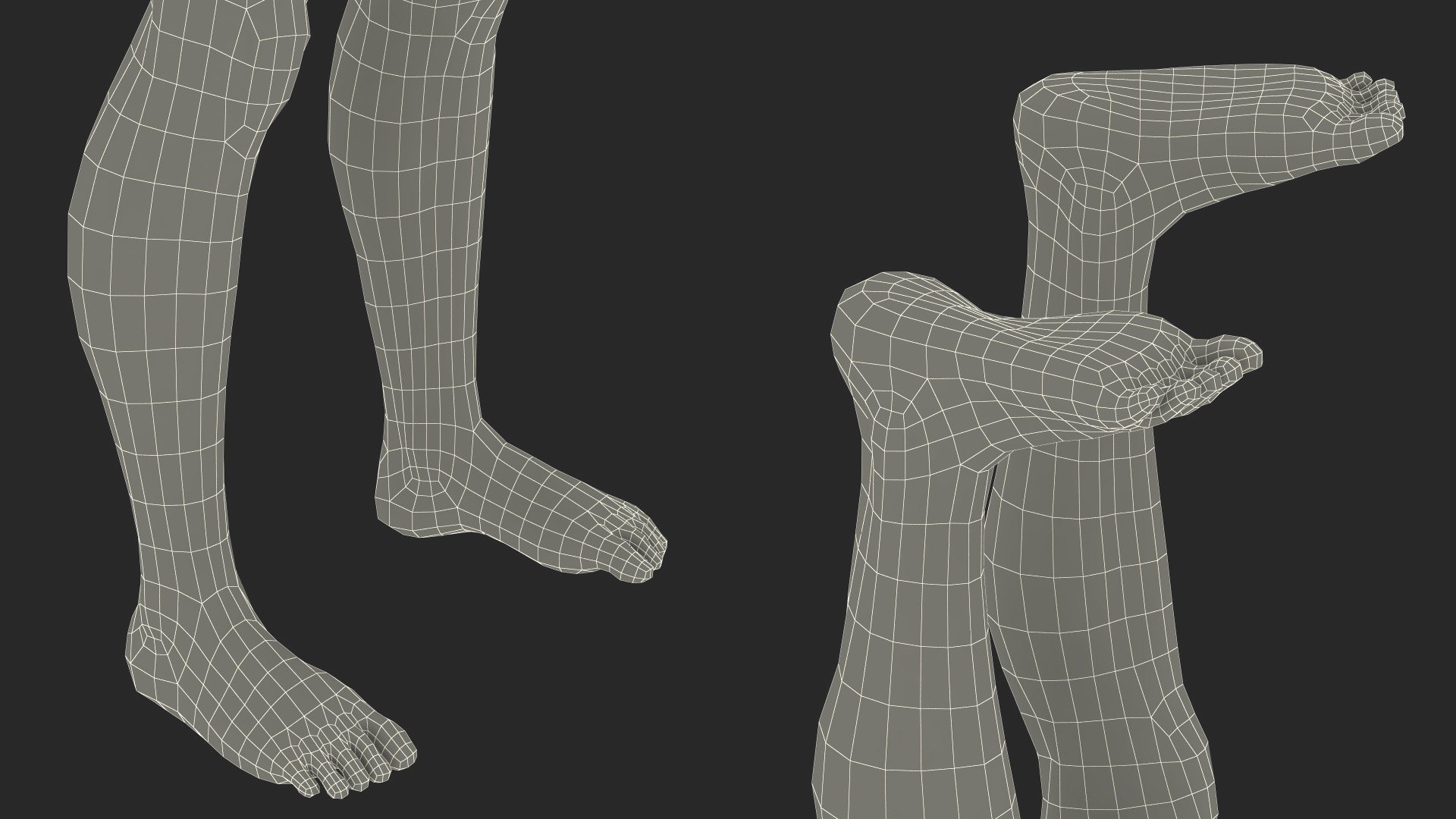 Homo Erectus Fur 3D model - TurboSquid 2169427