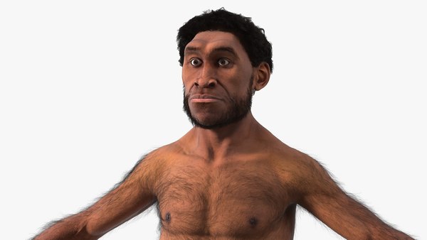 Homo Erectus Upright Man