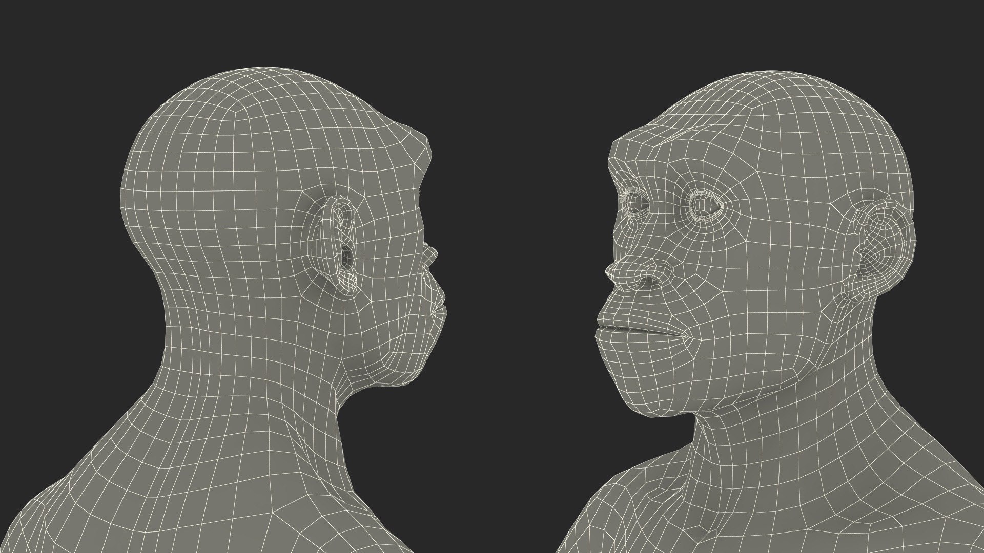 Homo Erectus Fur 3D model - TurboSquid 2169427