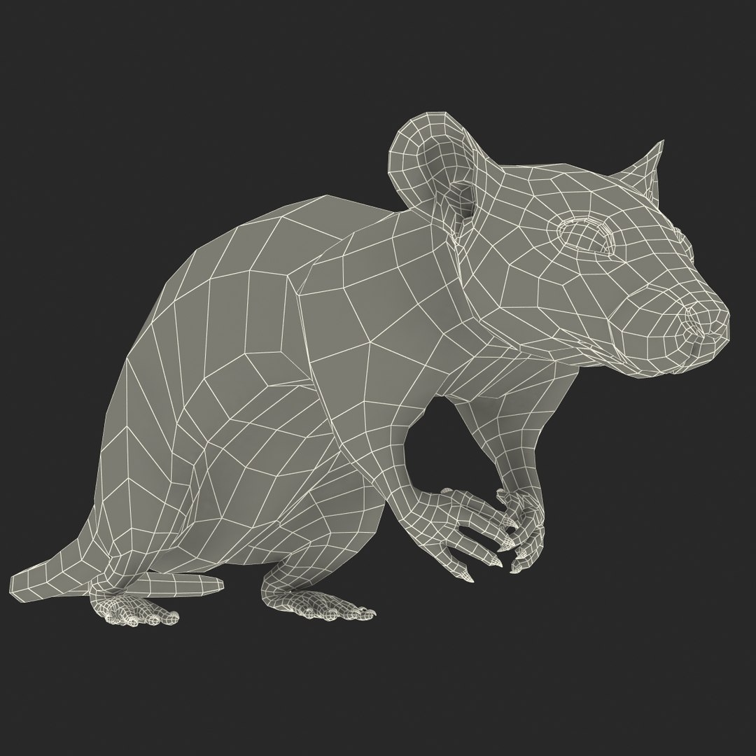 3d white rat pose 4 model