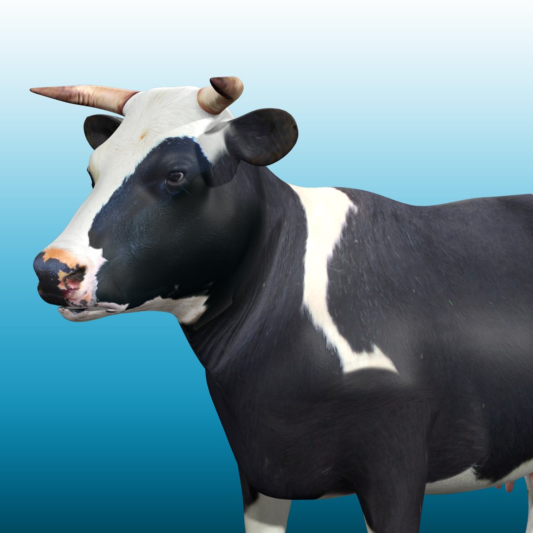 3D Cow Low Poly Rig Model - TurboSquid 2078714