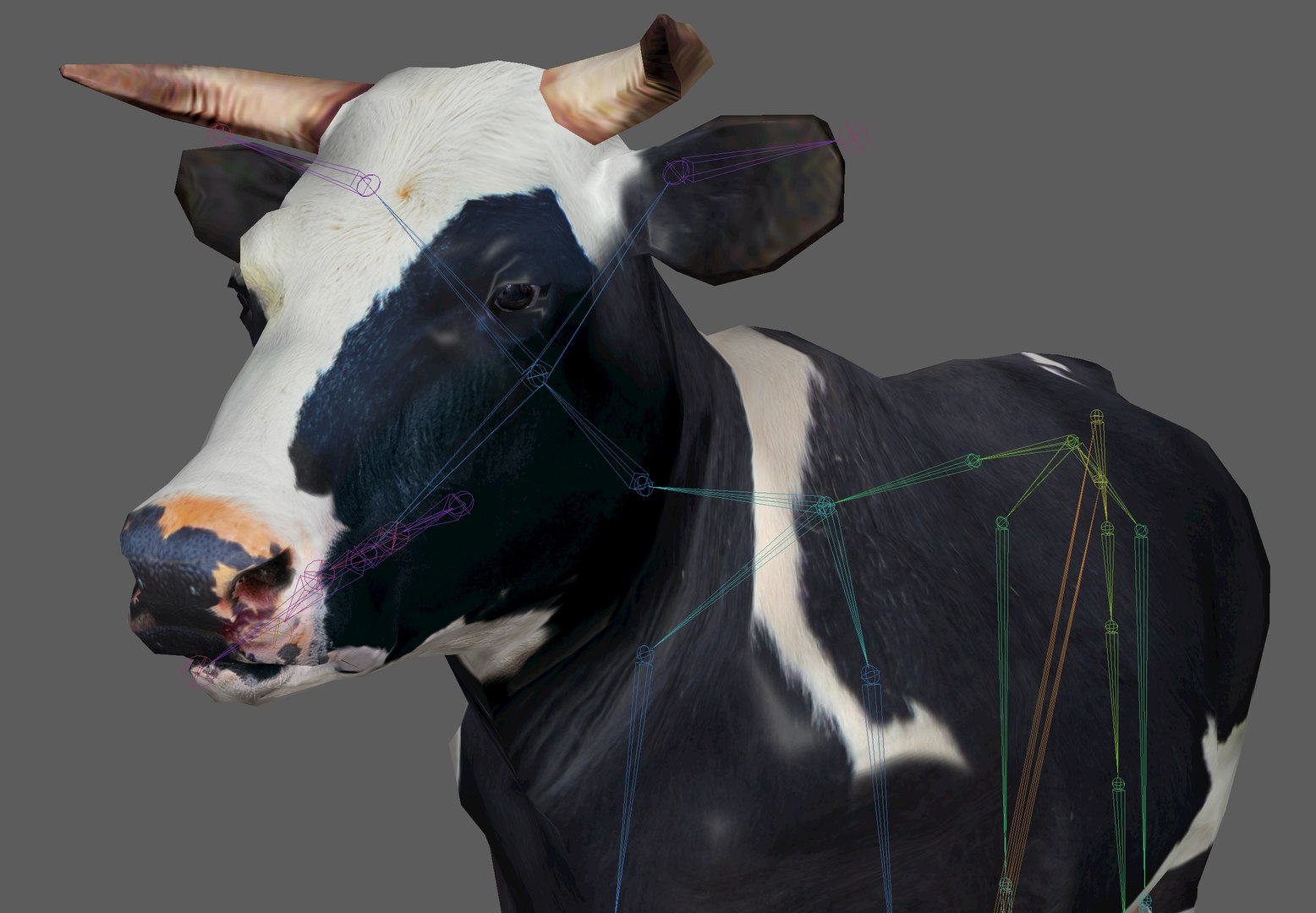 3D Cow Low Poly Rig Model - TurboSquid 2078714
