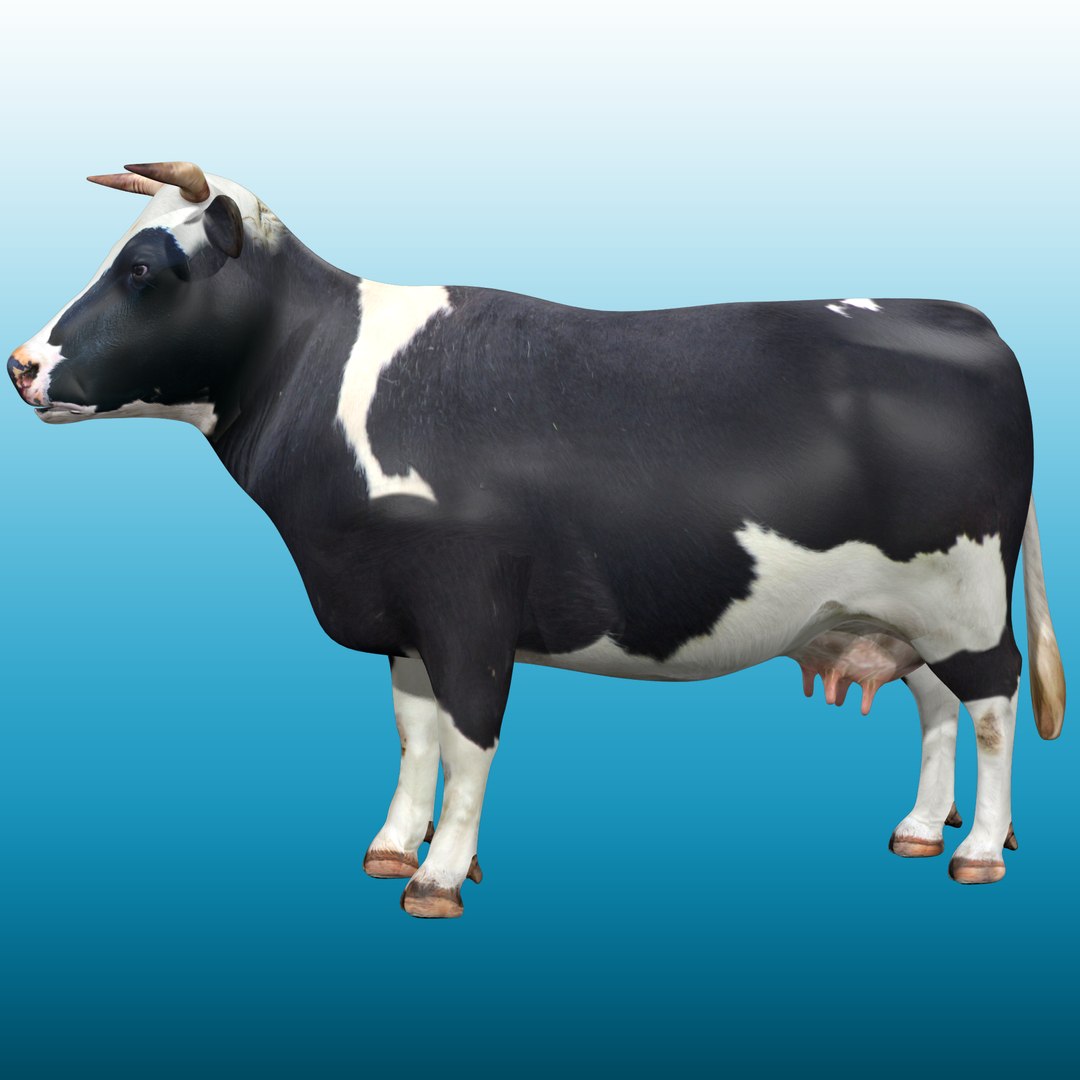3D Cow Low Poly Rig Model - TurboSquid 2078714