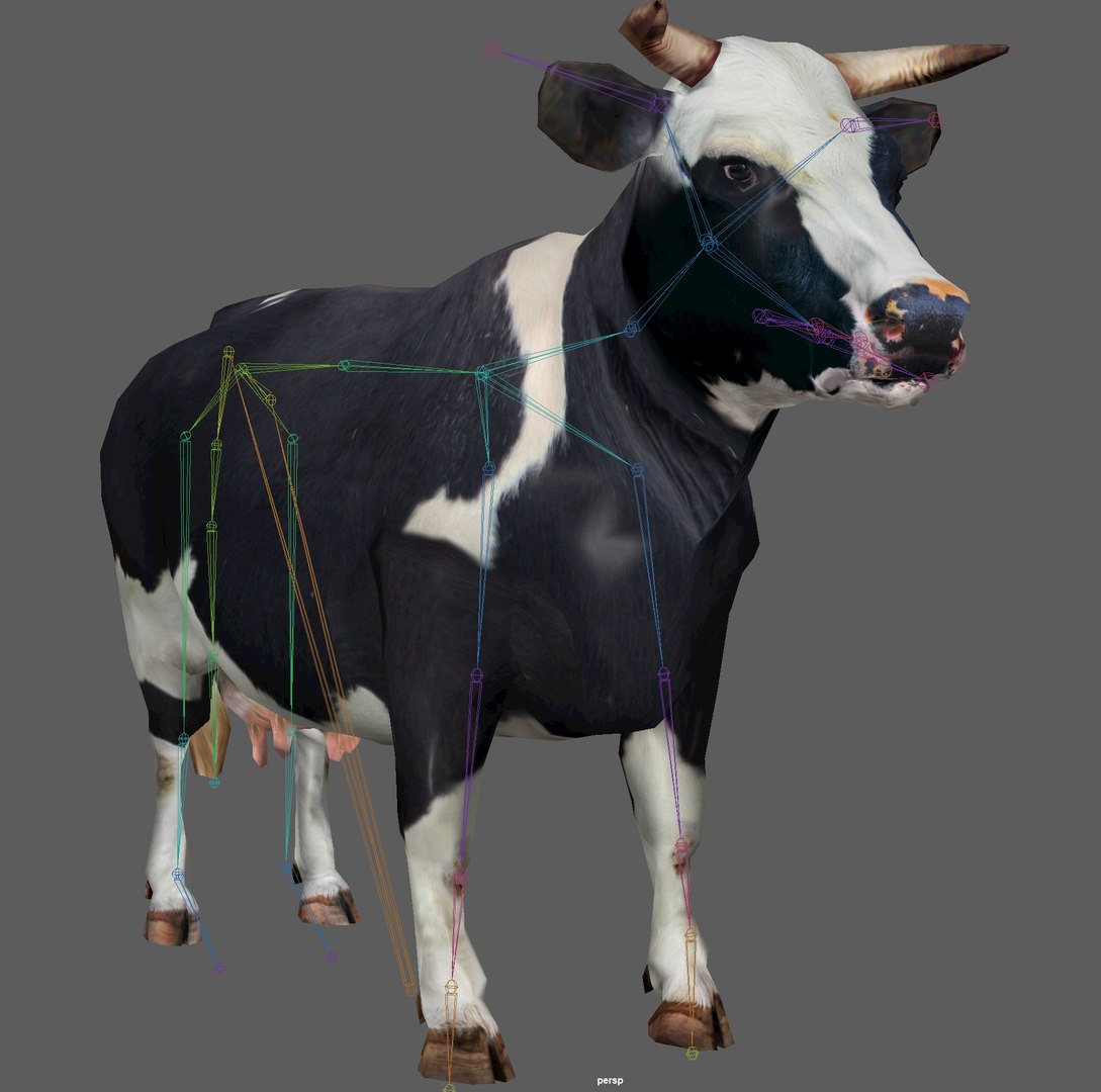 3D Cow Low Poly Rig Model - TurboSquid 2078714
