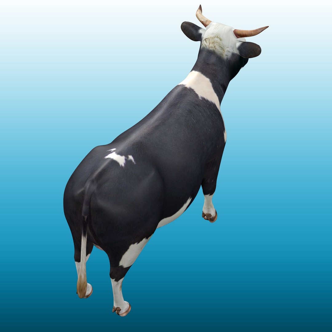3D Cow Low Poly Rig Model - TurboSquid 2078714