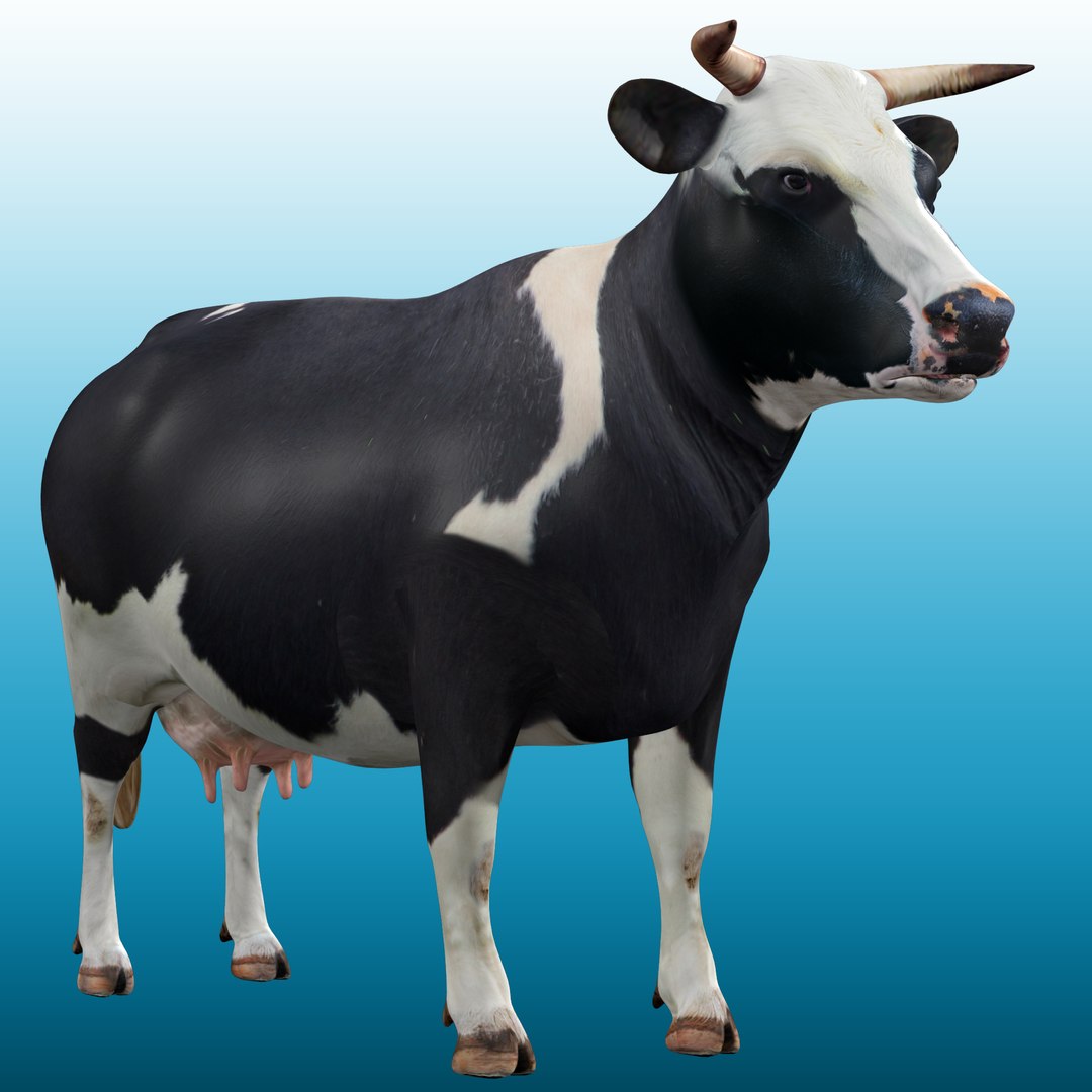 3D Cow Low Poly Rig Model - TurboSquid 2078714