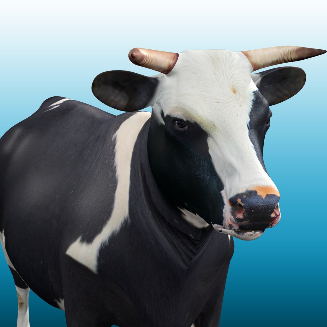 3D Cow Low Poly Rig Model - TurboSquid 2078714