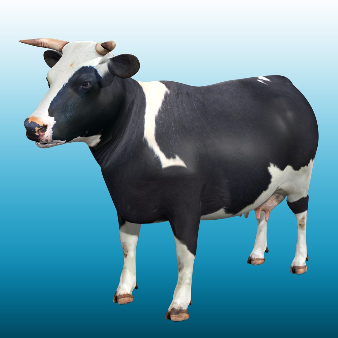 3D Cow Low Poly Rig Model - TurboSquid 2078714