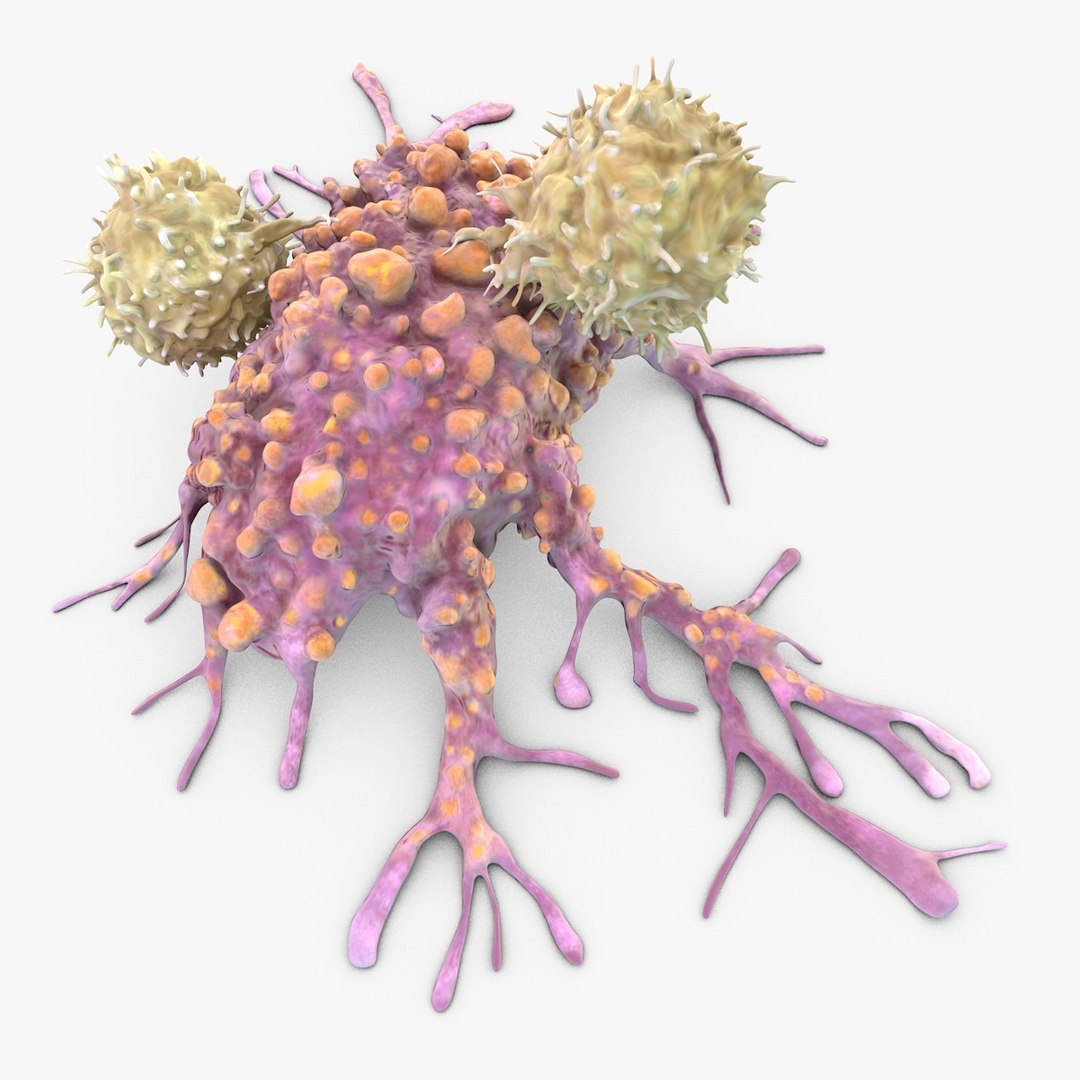 3D t cells attacking cancer - TurboSquid 1165316