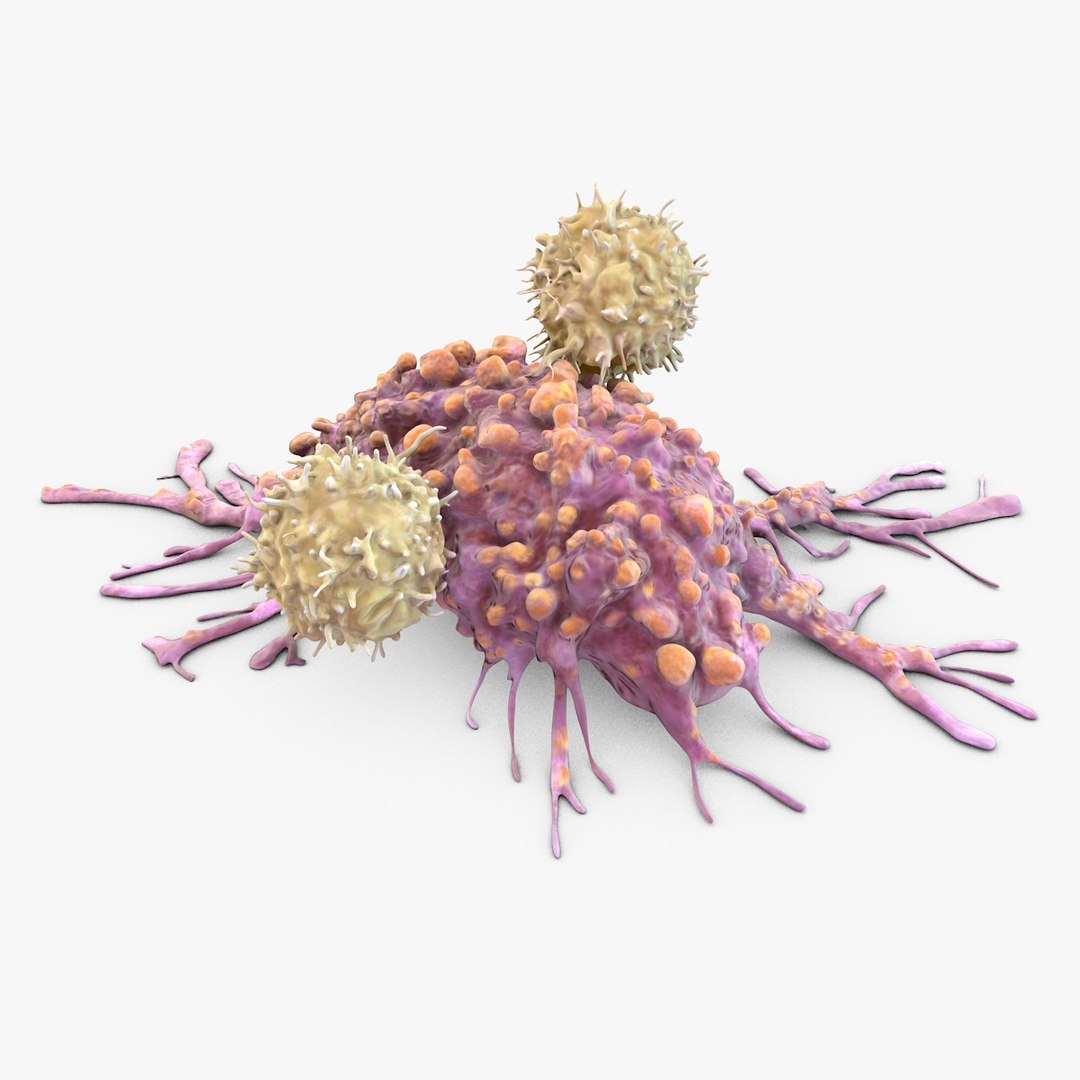 3D t cells attacking cancer - TurboSquid 1165316