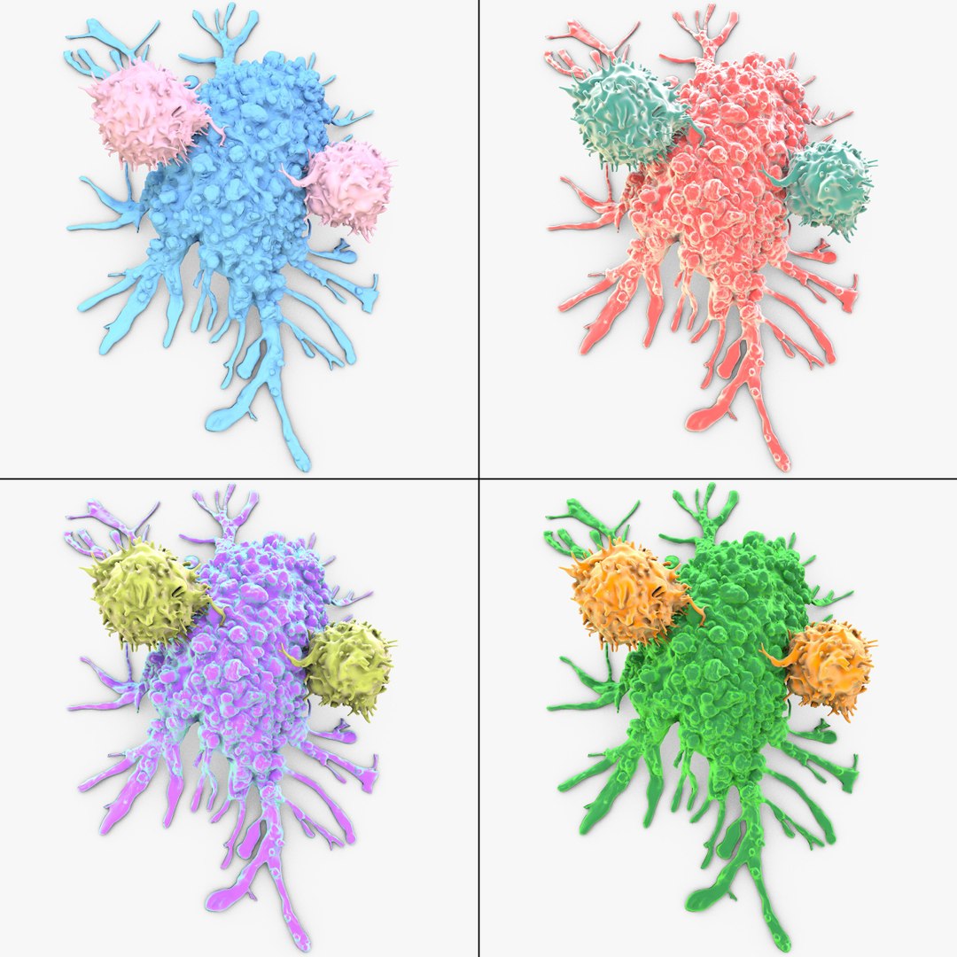 3D t cells attacking cancer - TurboSquid 1165316