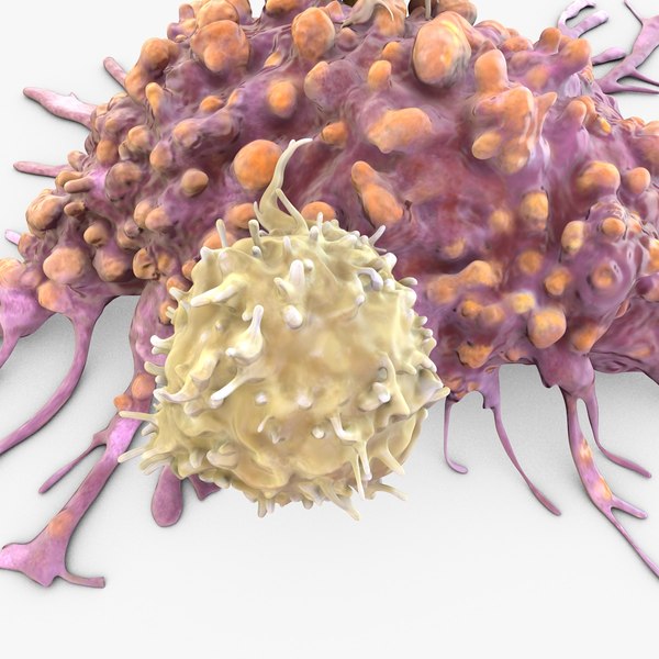 3D t cells attacking cancer - TurboSquid 1165316