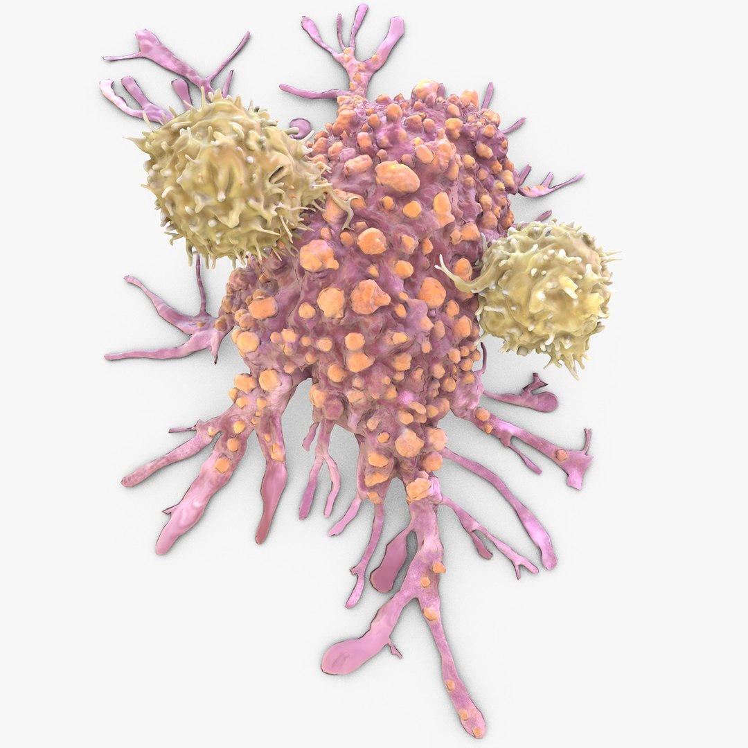 3D t cells attacking cancer - TurboSquid 1165316