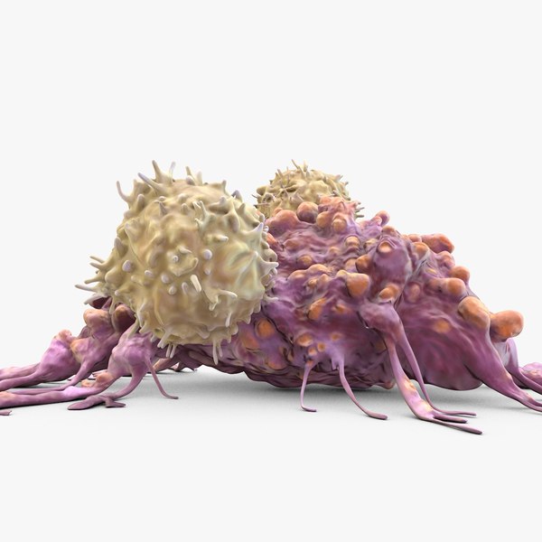 3D t cells attacking cancer - TurboSquid 1165316