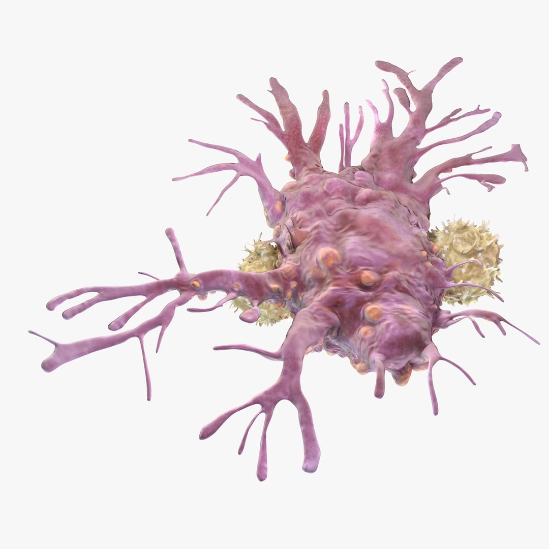 3D t cells attacking cancer - TurboSquid 1165316