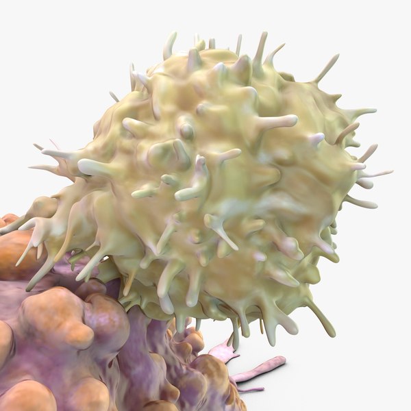 3D t cells attacking cancer - TurboSquid 1165316