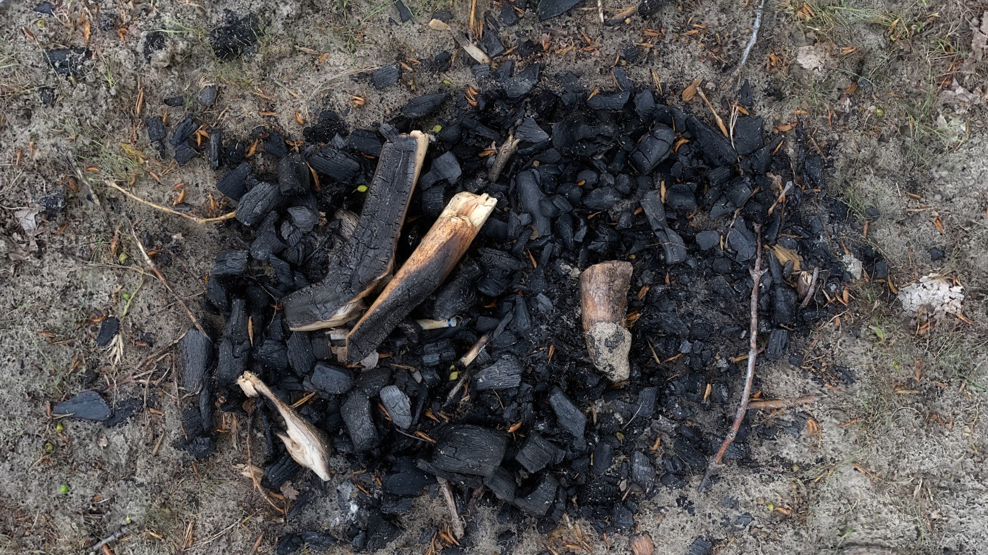 Extinguished Campfire Ashes Burned Fire Pit With Charcoal Scan Model ...