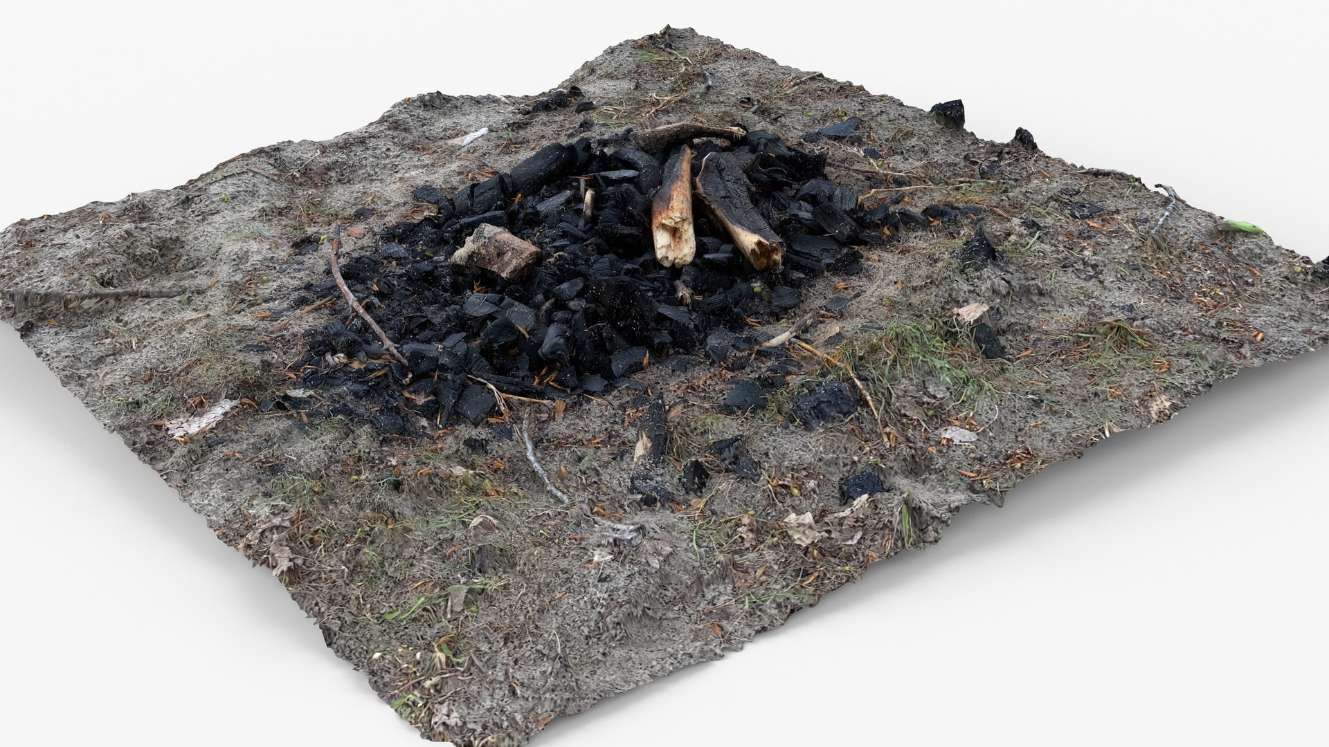 Extinguished Campfire Ashes Burned Fire Pit With Charcoal Scan Model ...