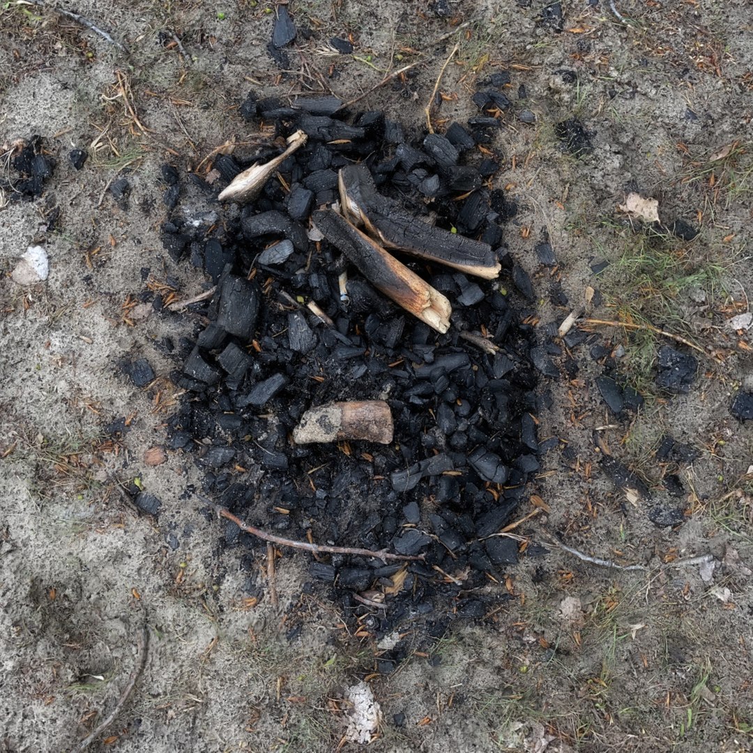 Extinguished Campfire Ashes Burned Fire Pit With Charcoal Scan Model ...