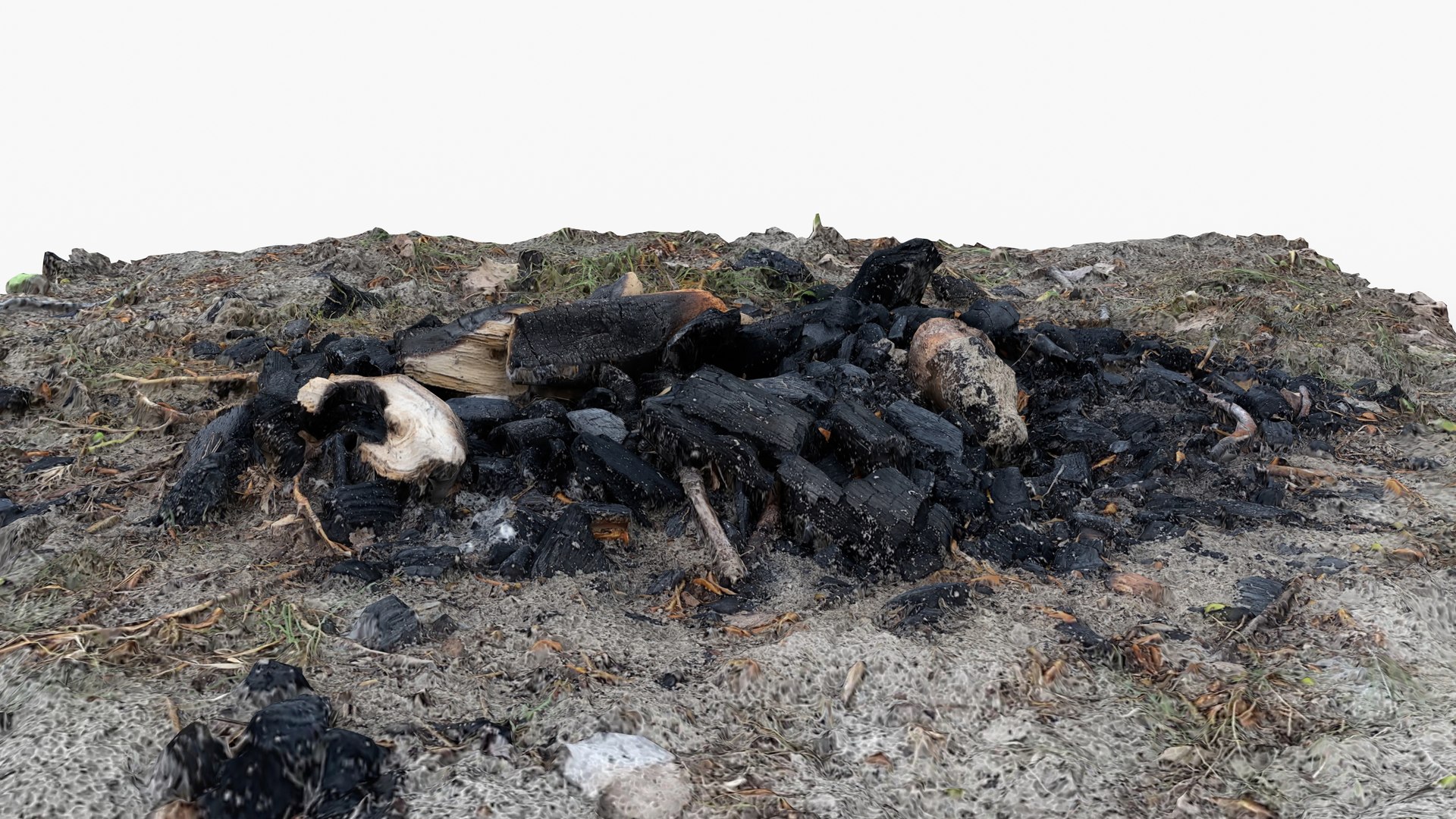 Extinguished Campfire Ashes Burned Fire Pit With Charcoal Scan Model ...