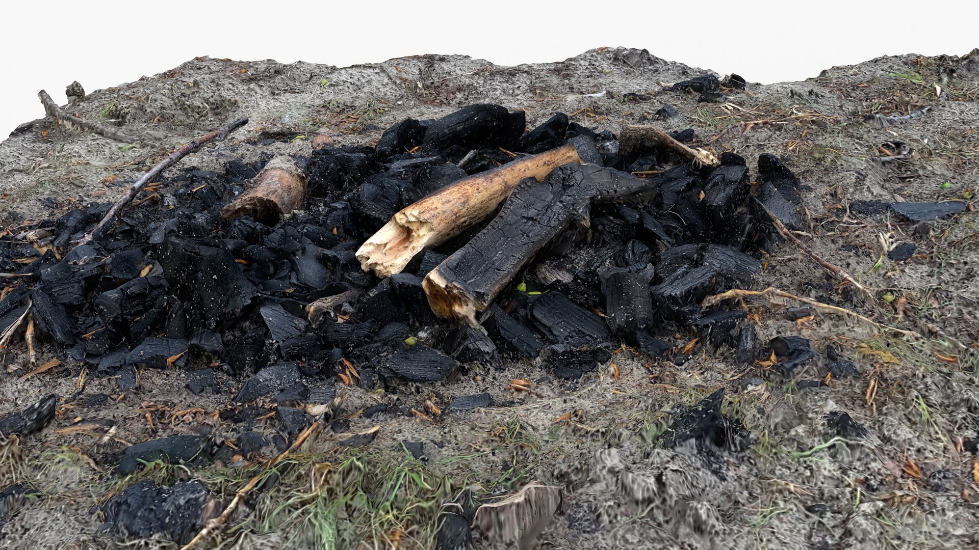 Extinguished Campfire Ashes Burned Fire Pit With Charcoal Scan Model ...