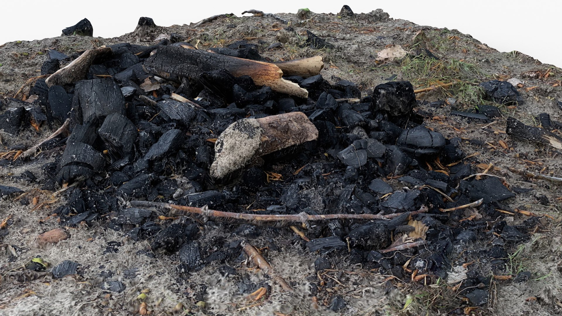 Extinguished Campfire Ashes Burned Fire Pit With Charcoal Scan Model ...