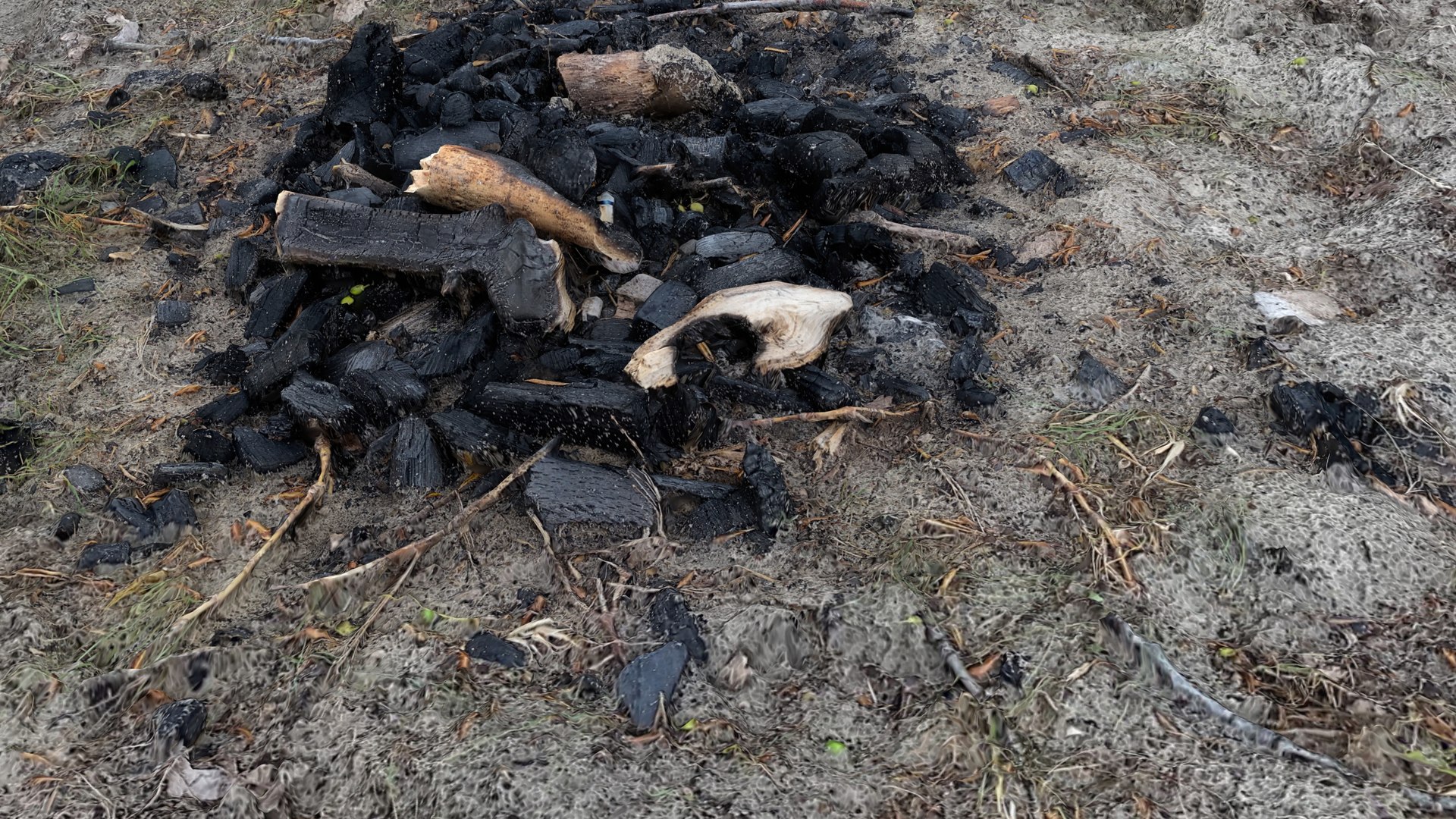 Extinguished Campfire Ashes Burned Fire Pit With Charcoal Scan Model ...