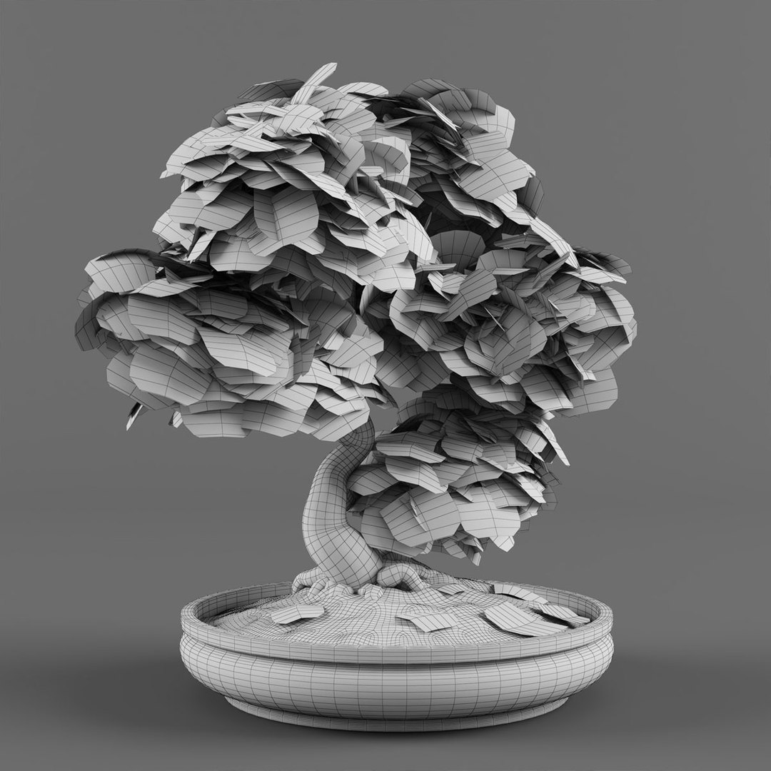 Bonsai Maple Tree Model - TurboSquid 1587880