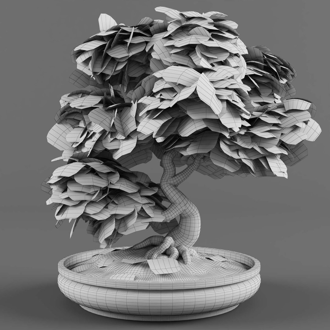 Bonsai Maple Tree Model - TurboSquid 1587880