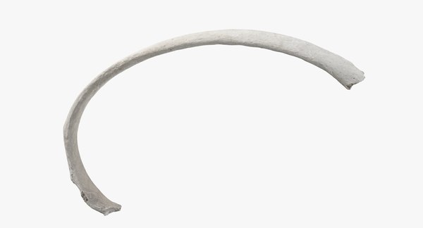 Human Ribs Collection White - 12 models 3D model - TurboSquid 1744719