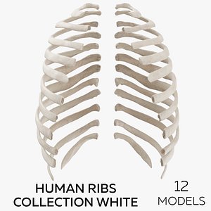 Rib Cage 3D Models for Download | TurboSquid