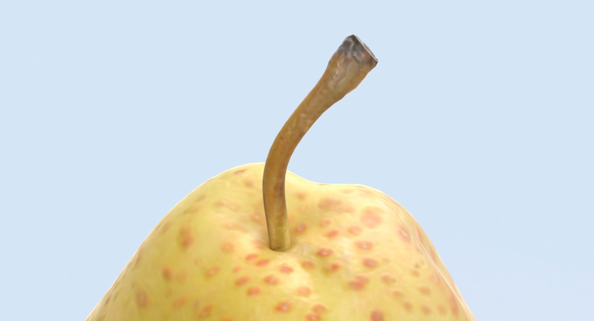 3d model pear using