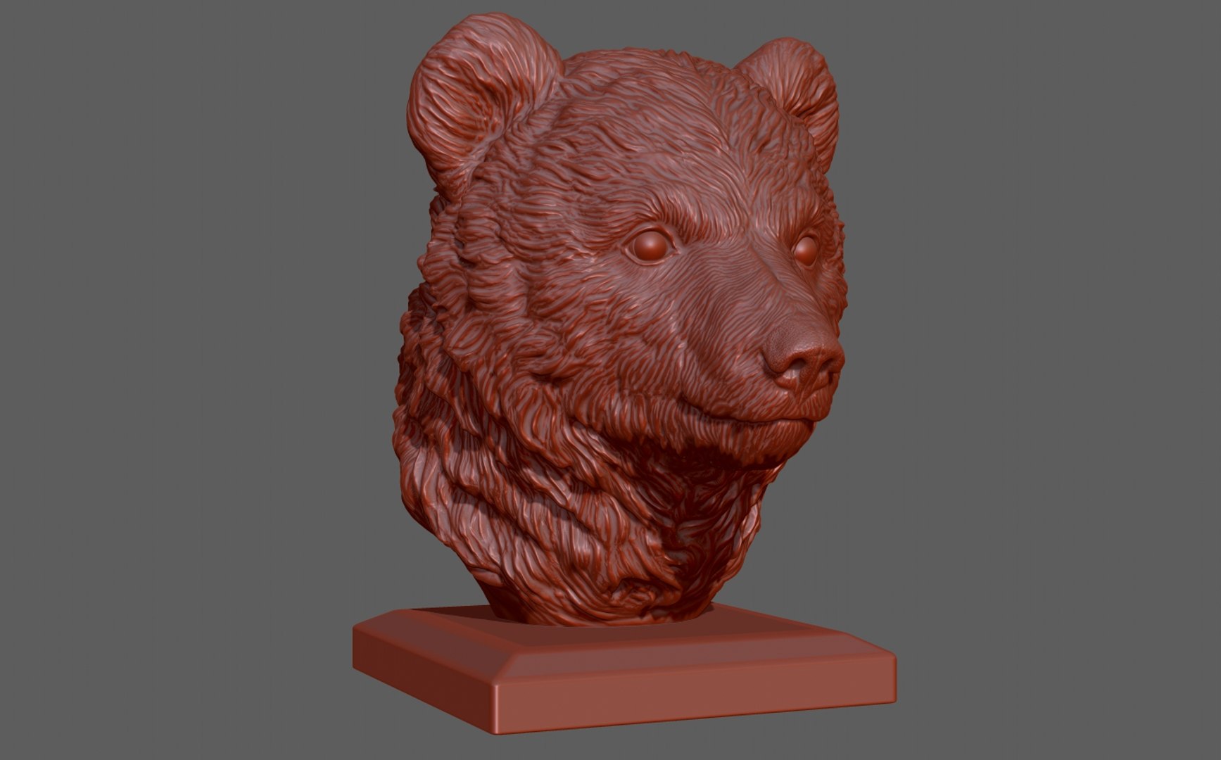 Bear cub 3D model - TurboSquid 1783255