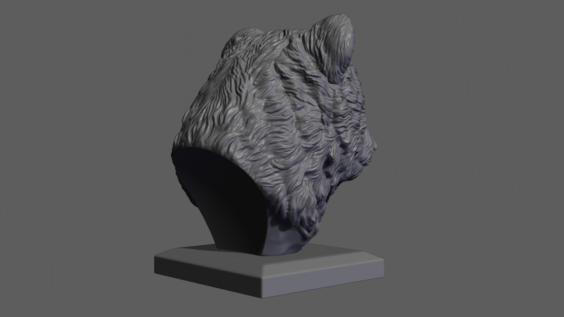 Bear cub 3D model - TurboSquid 1783255