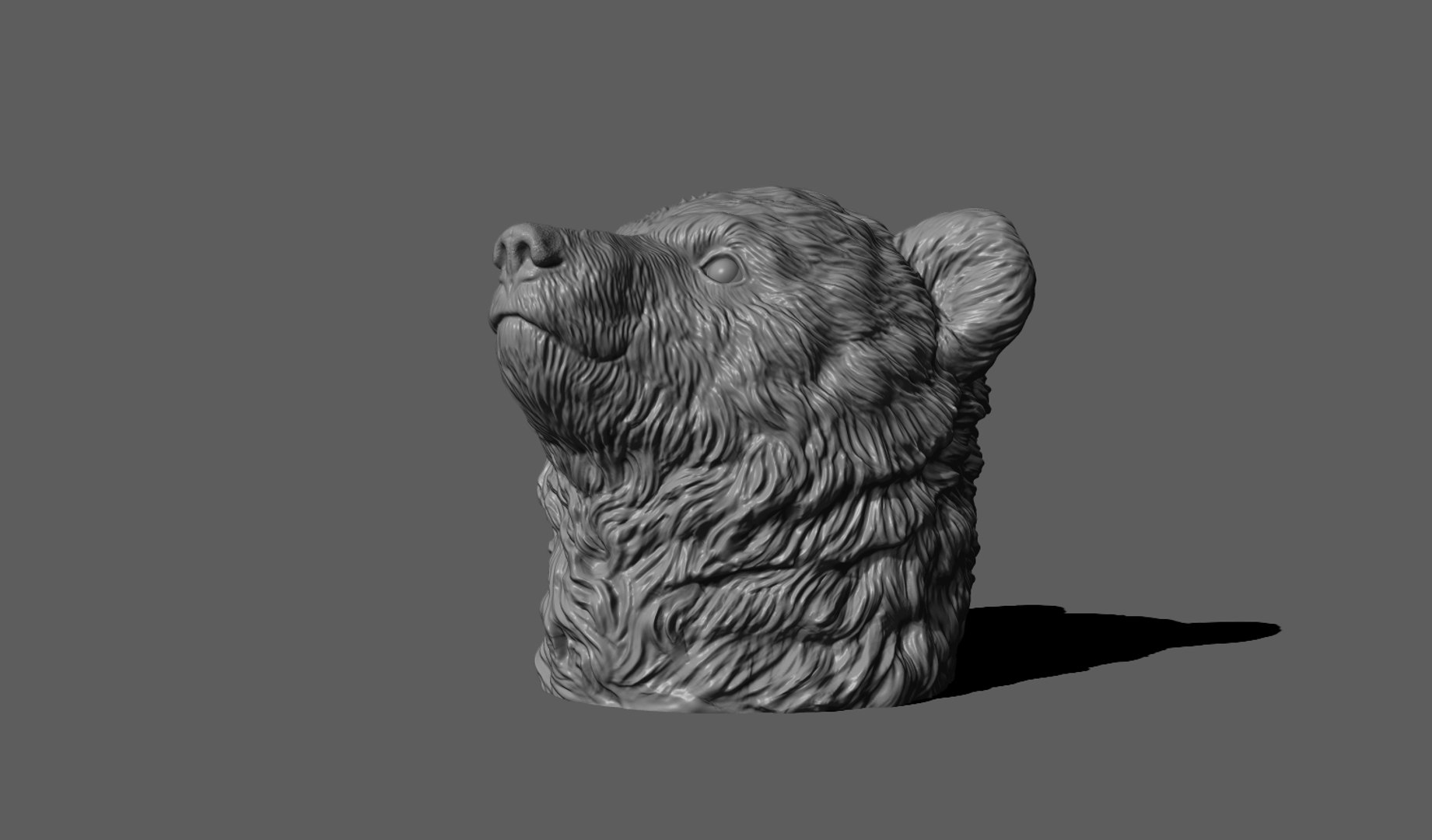 Bear cub 3D model - TurboSquid 1783255