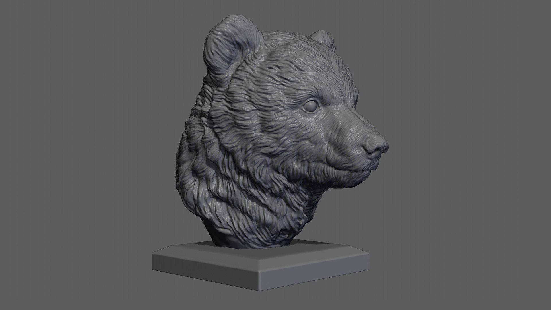 Bear cub 3D model - TurboSquid 1783255