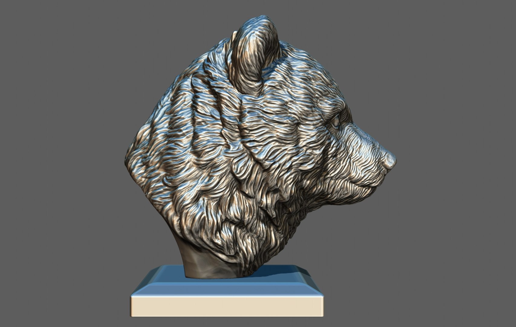 Bear cub 3D model - TurboSquid 1783255