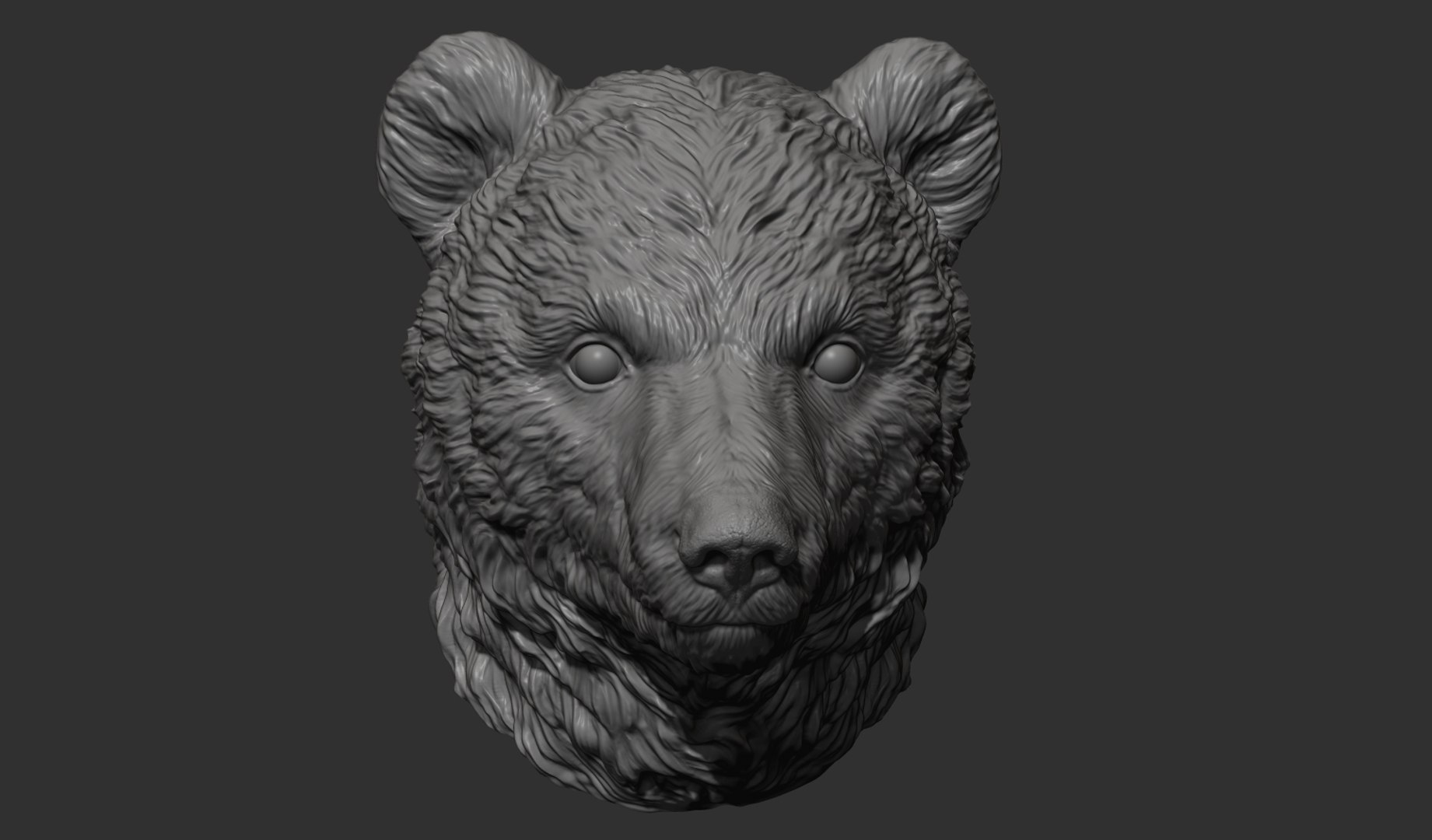 Bear cub 3D model - TurboSquid 1783255
