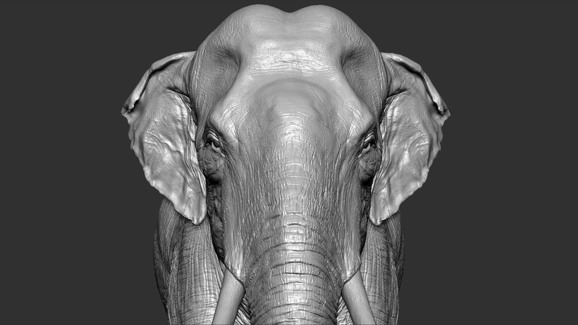 Asian V2 Model - TurboSquid 1516250