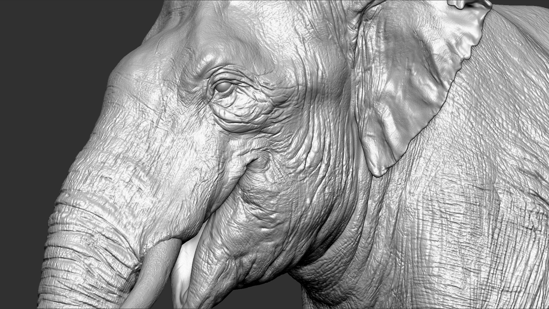 Asian V2 Model - TurboSquid 1516250