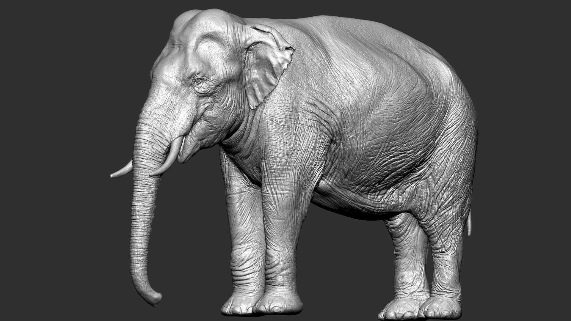 Asian V2 Model - TurboSquid 1516250