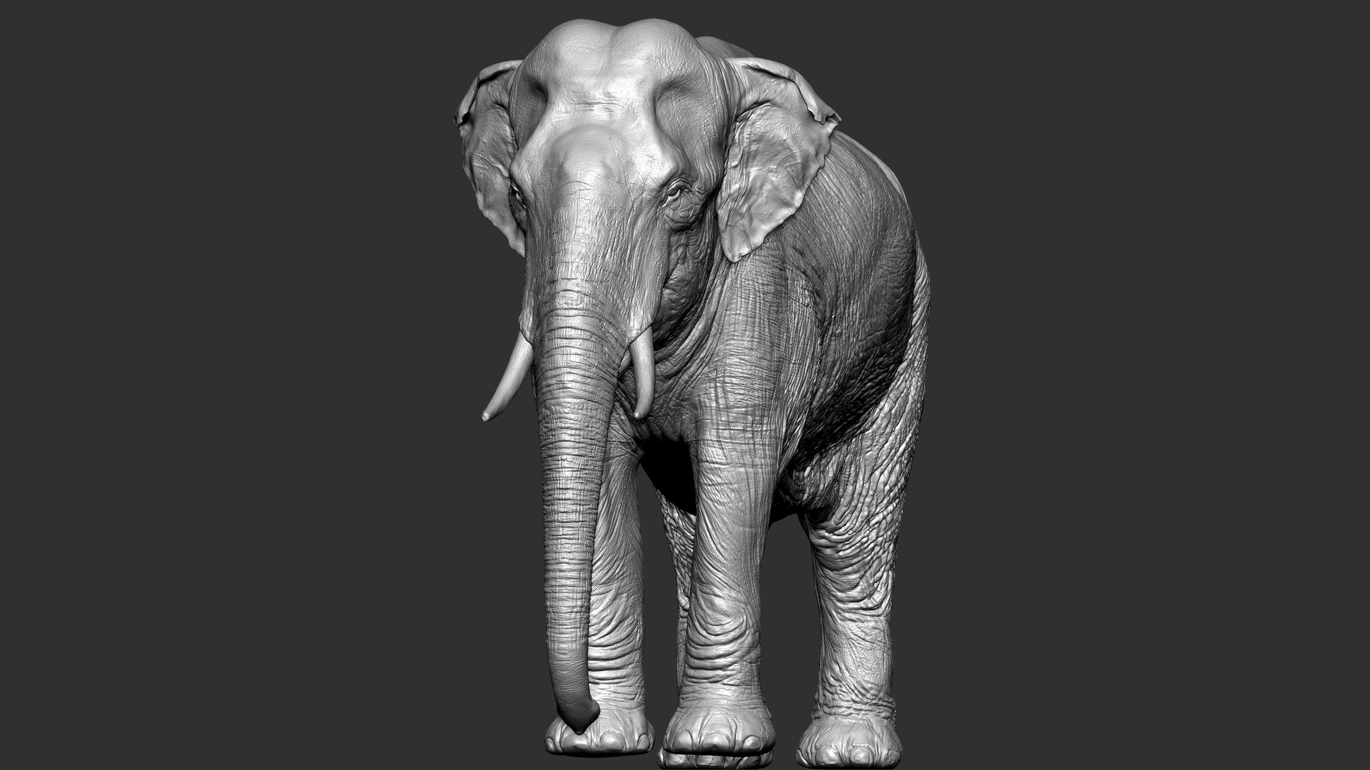 Asian V2 Model - TurboSquid 1516250