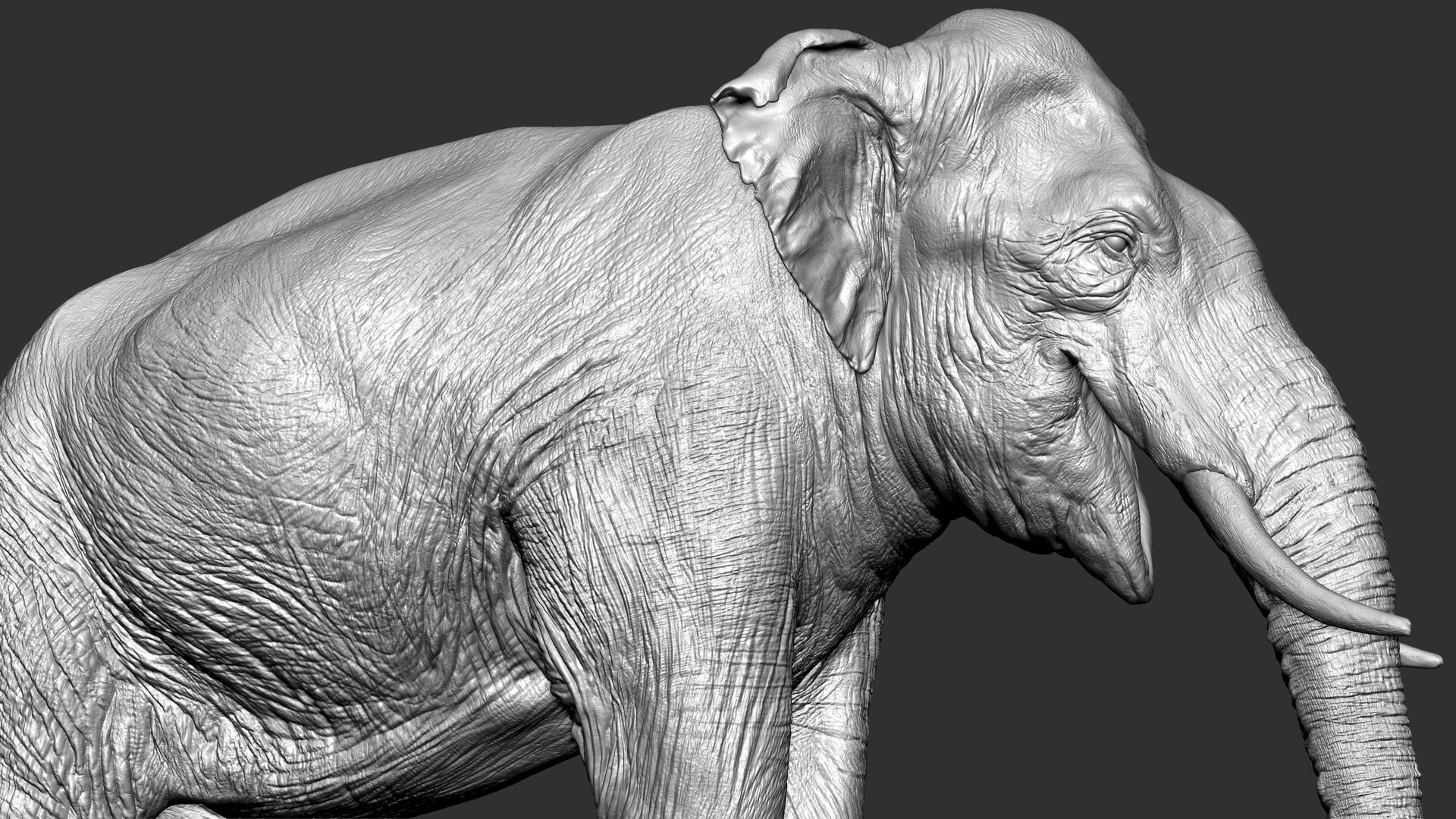 Asian V2 Model - TurboSquid 1516250